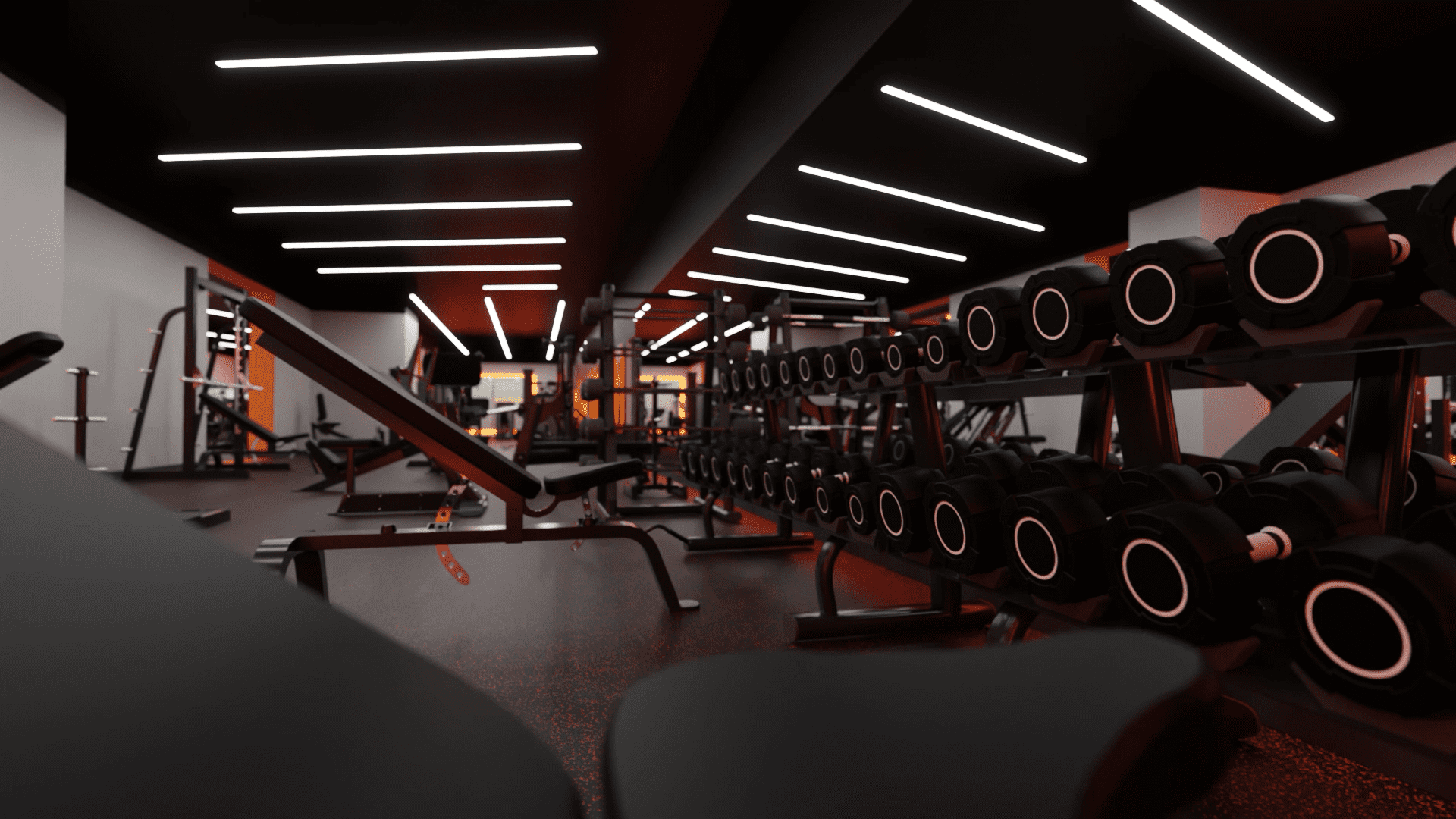 Contract signed with Freemotion to equip new state-of-the-art gym ...